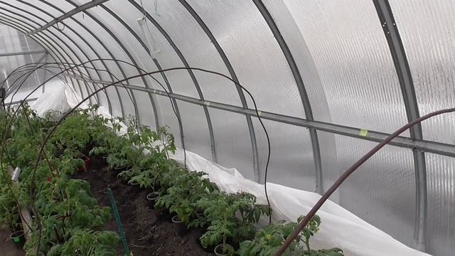 Сколько стоит ночь обогрева теплицы ИК обогревателем? У всех по разному! У меня 64 р. 2022 год.