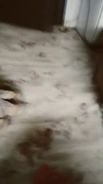 игрушки часть 1