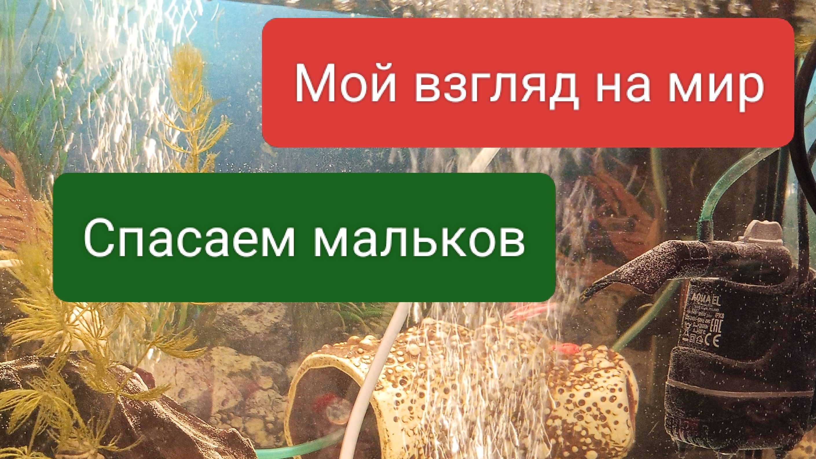Спасаем мальков 05-04-2026
