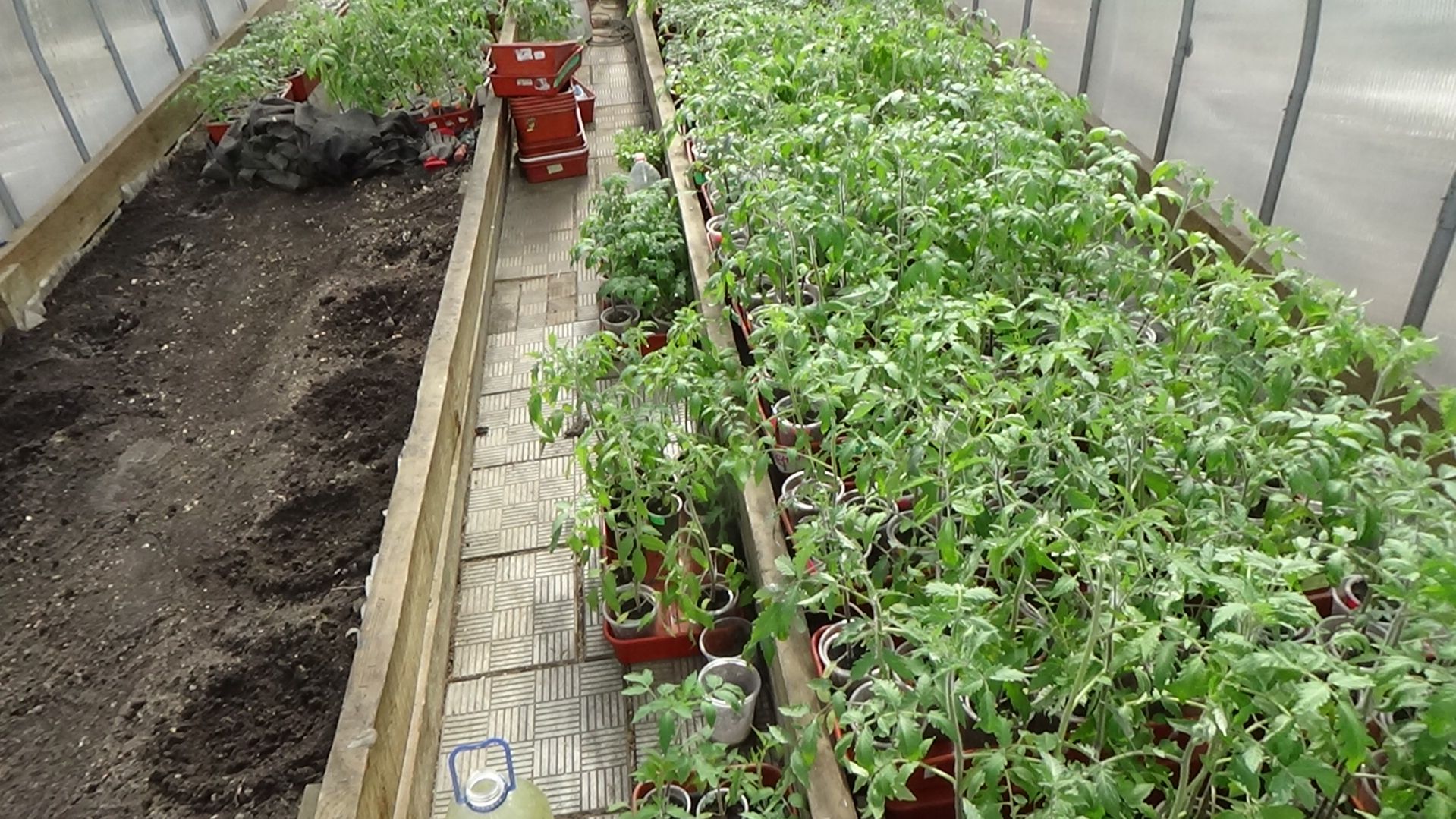 Эта погода разрушила все мои планы! Я "ВКЛЮЧИЛА УСКОРЕНИЕ"! 5.04.2026.