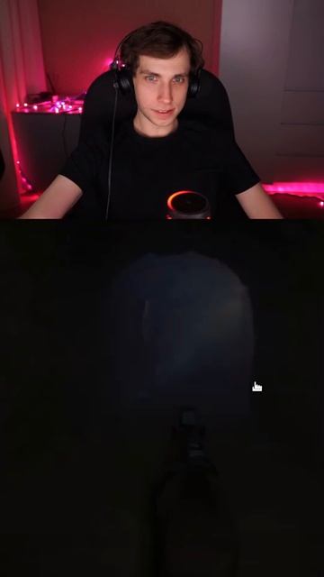 Тусовка хомяков