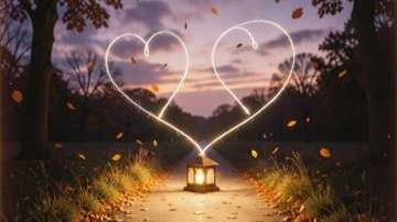 Ищем друг друга  V1_10013