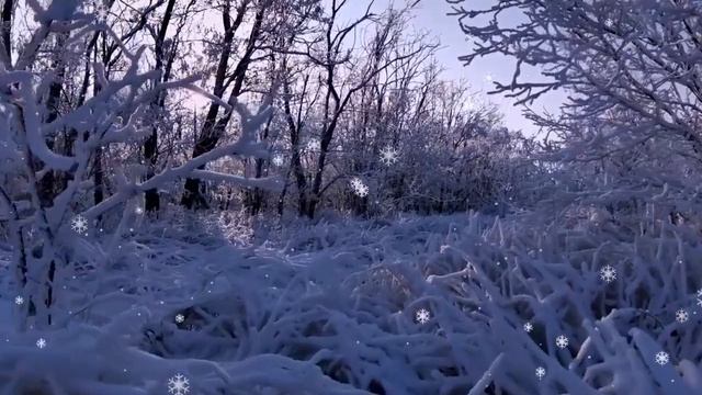 Снежная красота