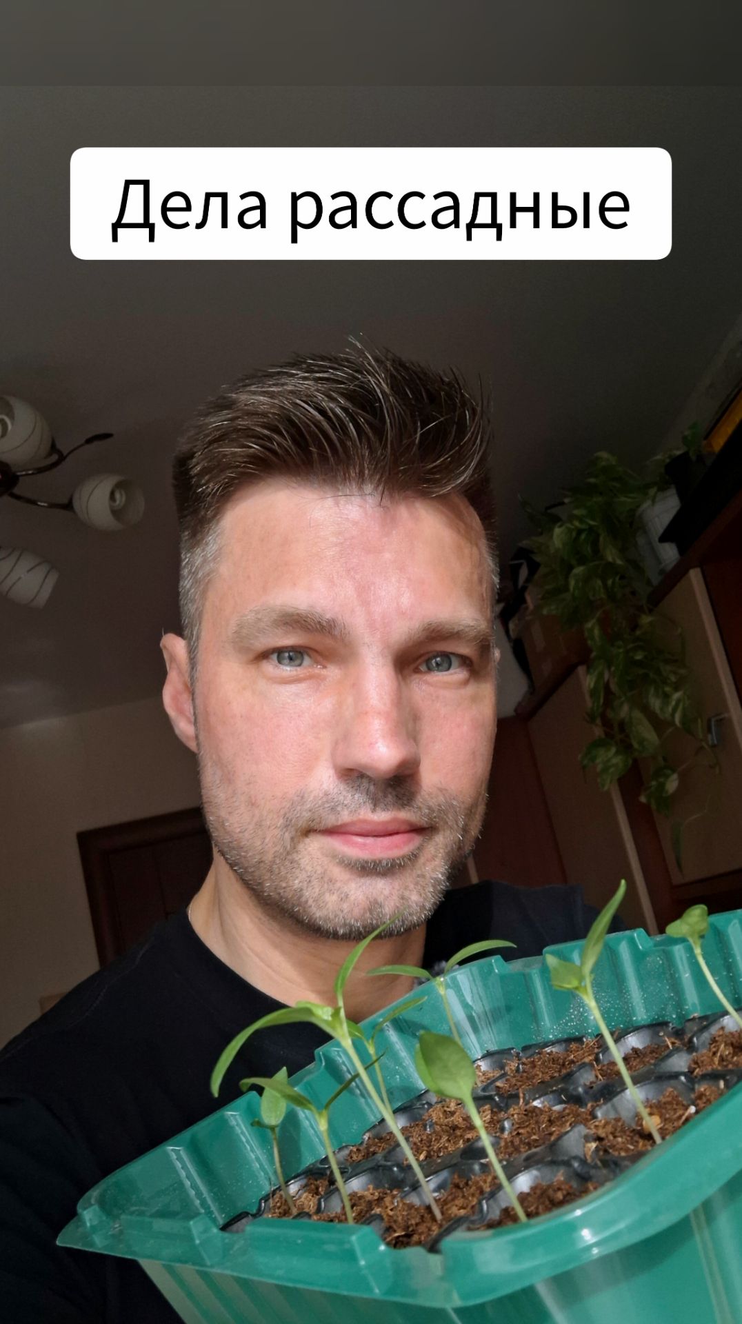 Дела рассадные