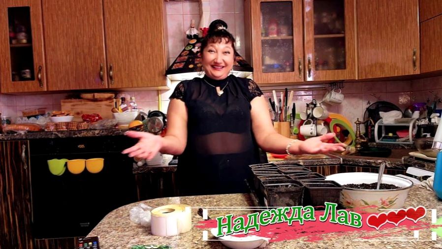 ИИ и стихи, а я сажаю огурцы: смешная история и весенние хлопоты!