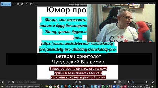 Юмор про птиц. Выпуски с 36 по 45-й. март 2026