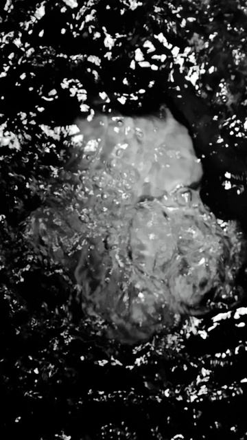 «Мураками» — «Куда течёт река», тизер («Невеста хочет домой», 2026)