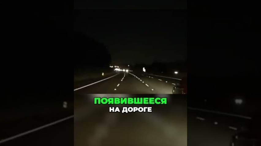 Встреча с загадочным гномом  уличный свидетель снял невероятное происшествие #shorts