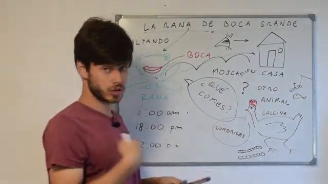 Spanish comprehensible input full course | Story 02