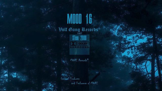 Volf Gang Records: Mood 16