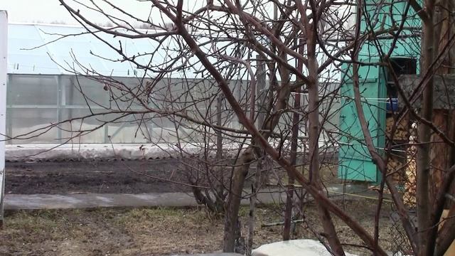 Муромцево 5 апреля  2026г  Первый дождь