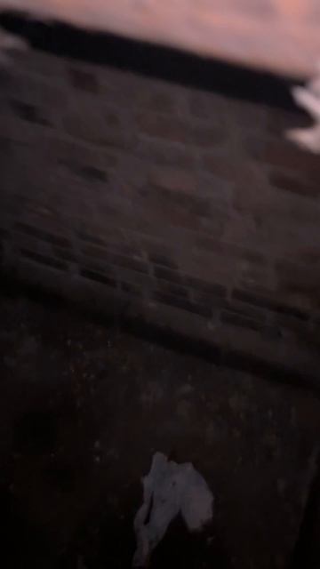 НАШЛИ БУНКЕР В ЛЕСУ!!!