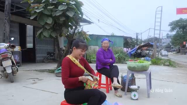 Harvesting Cauliflower Grown On The Farm Go To Sell Catching Carp In The Rice Fields