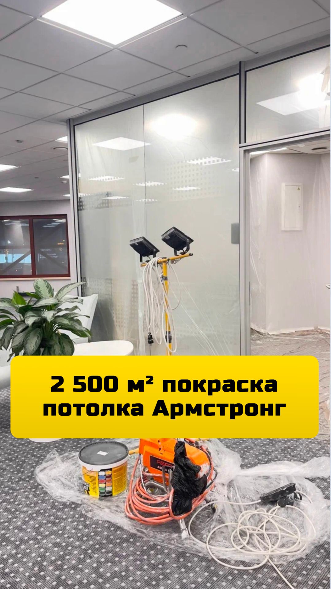 2 500м2 покраска потолка Армстрон в офисе