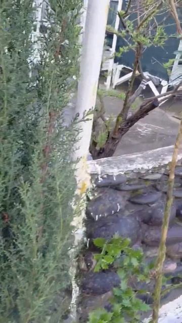 Субботник в парке Смецкого в поселке Агудзера