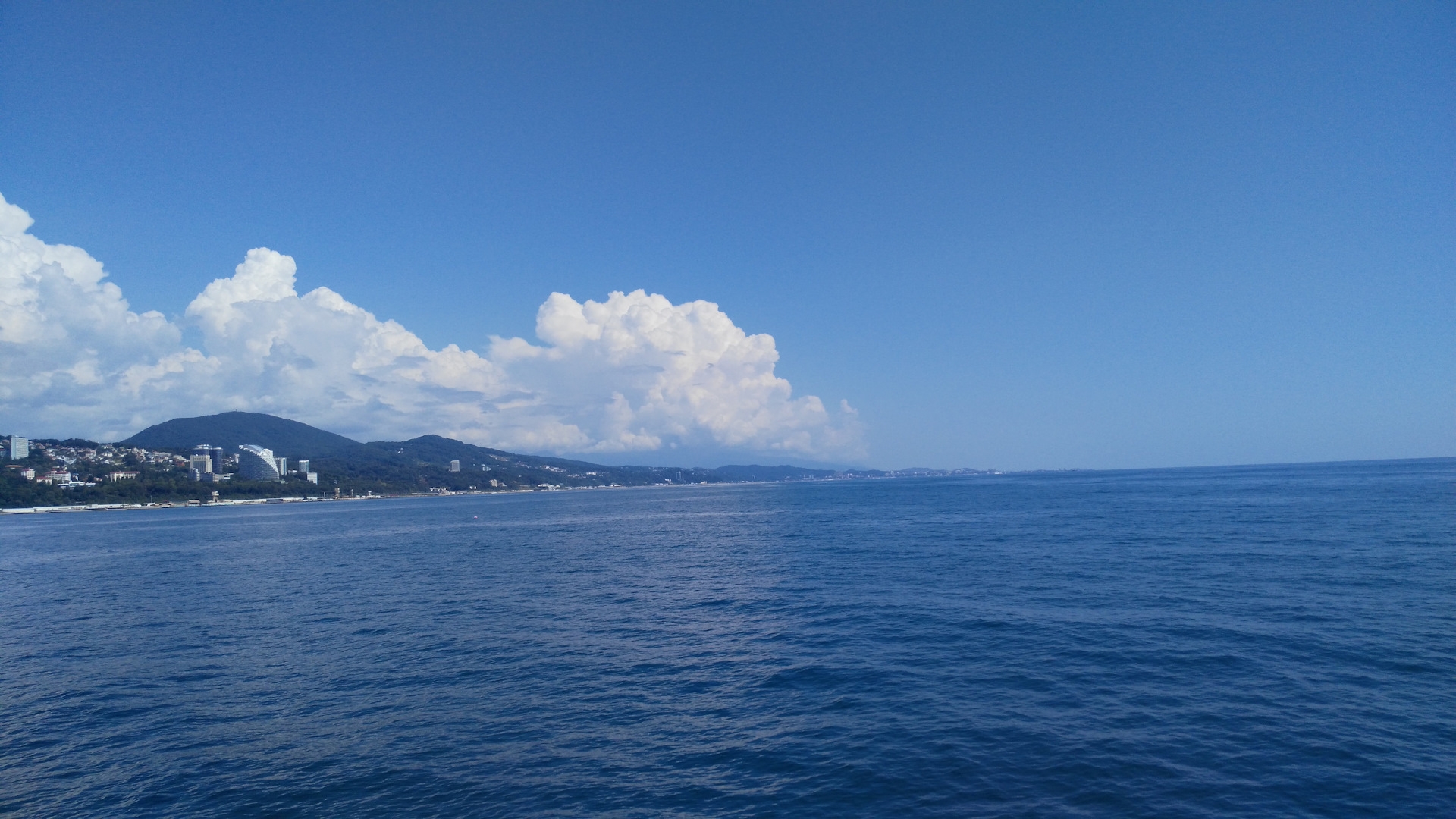 KISS ME - $ BUTTERFLY - PATRICK $ - ПРИПОДНЯТАЯ