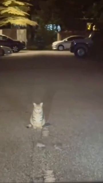 Let's get ready to rumble!..