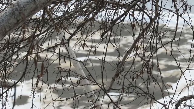 Банников Вадим Назаров Анатолий "Март"