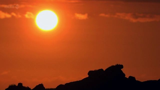 Аттенборо. 60 лет с дикой природой 1 серия (документальный сериал, 2012)