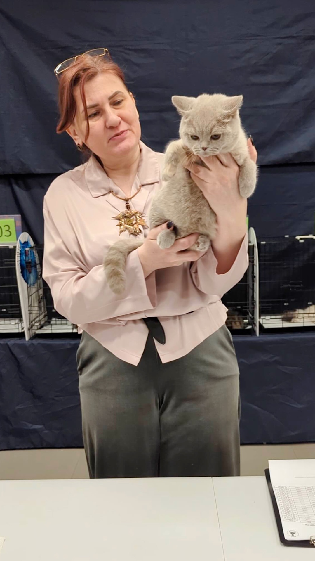 Веселина на WCF-ринге среди котят