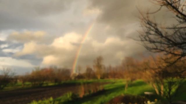 После дождя тёплого и доброго,