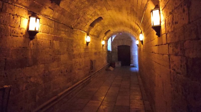 17 Лекция для экскурсоводов Подземный ход Гатчинского дворца [get.gt]