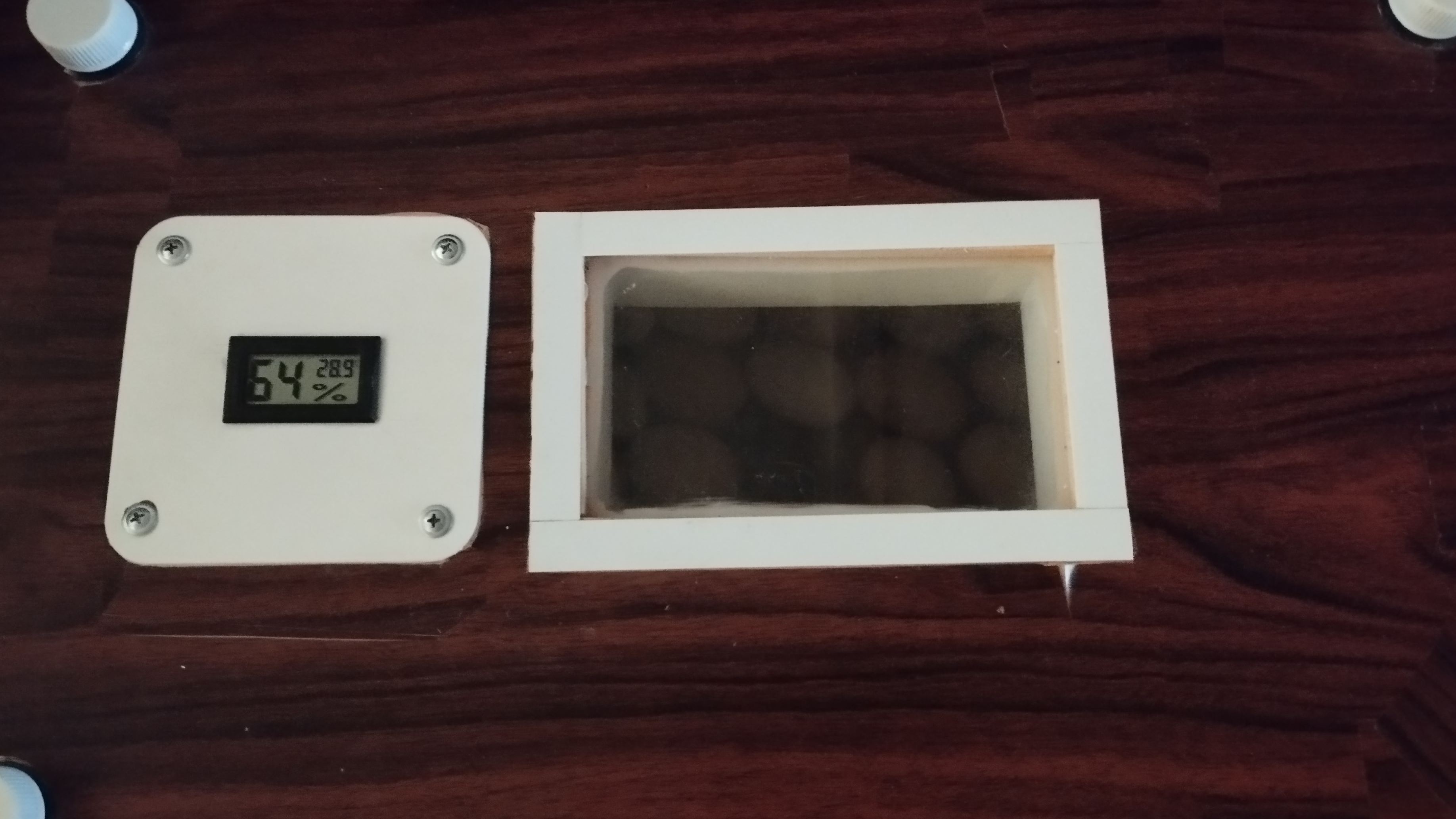 6 апреля 2026 года — инкубация куриного яйца.