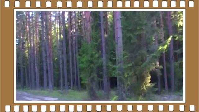 Родник у озера Лесное(Там,где тебя нет)