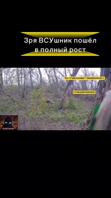 ВСУшник решил пойти вперёд в полный рост и поплатился