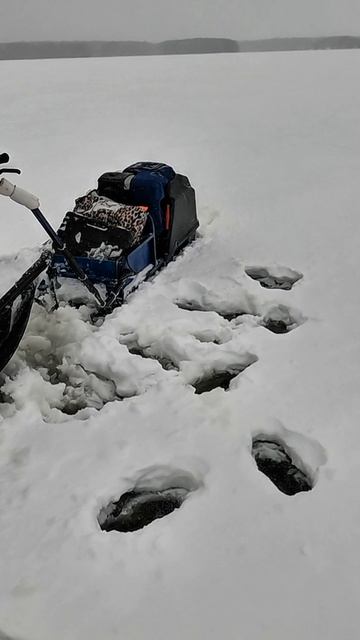 Мотособака тонет в воде и снегу