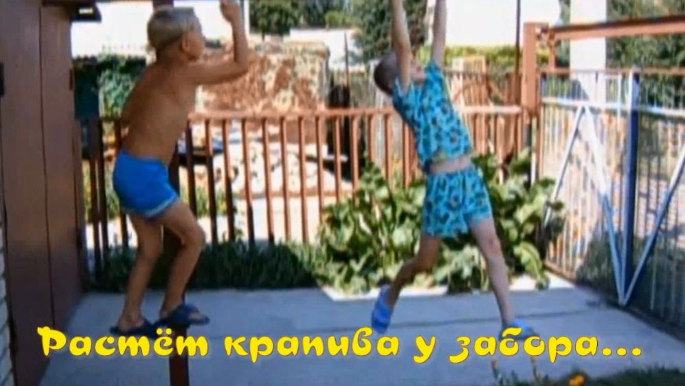 Растёт крапива у забора. Стихи, монтаж и генерация звука в ИИ - Е.Доставалов