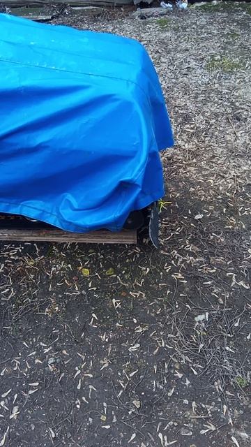 снегоход на летнюю спячку