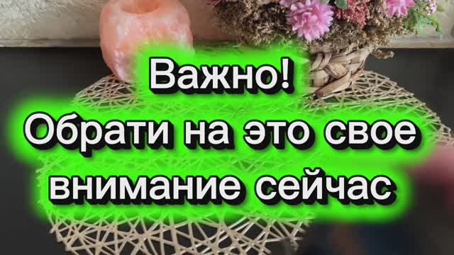 На что важно обратить внимание сейчас 🔆❤️🔥🔮Таро