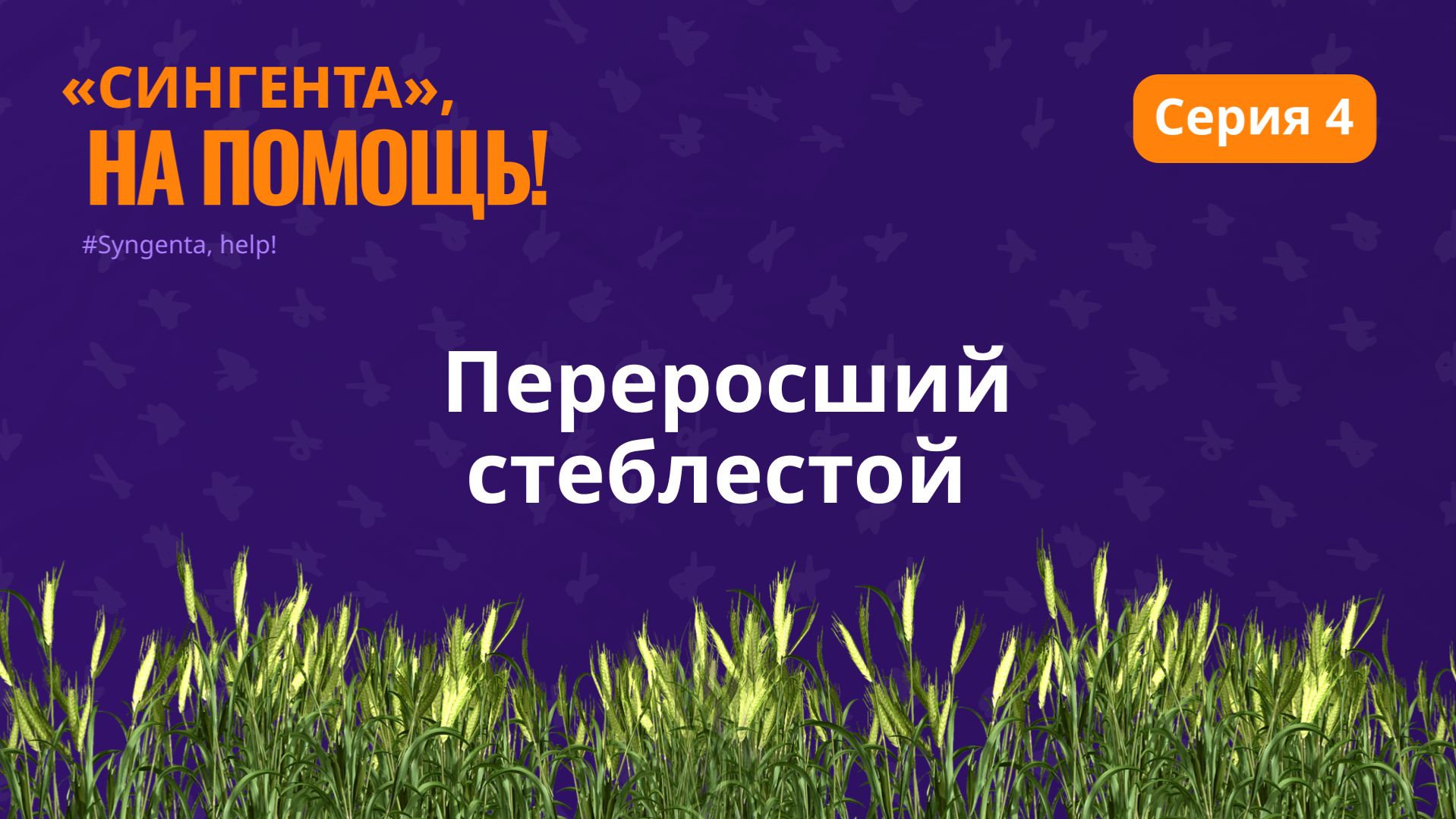 ПЕРЕРОСШИЙ СТЕБЛЕСТОЙ