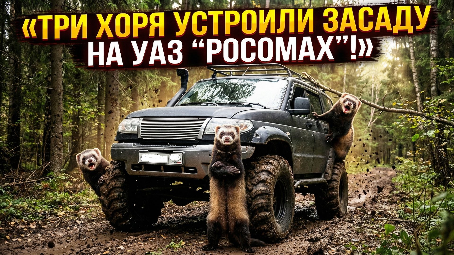 Засада лесных хорей или трое на одного