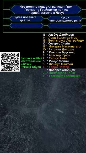 Кто ты в "Гарри Поттер и Орден Феникса"  вопрос № 4