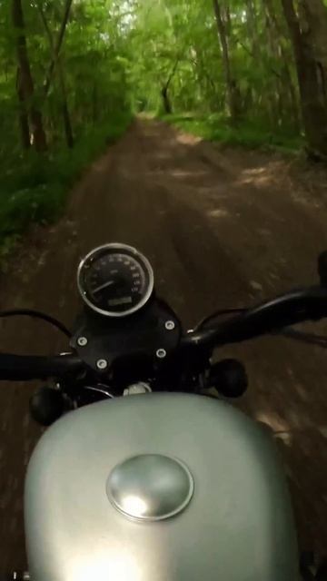 Где то в лесу на Harley Davidson Sportster 1200 #harleydavidson ##harleydavidsonsportster