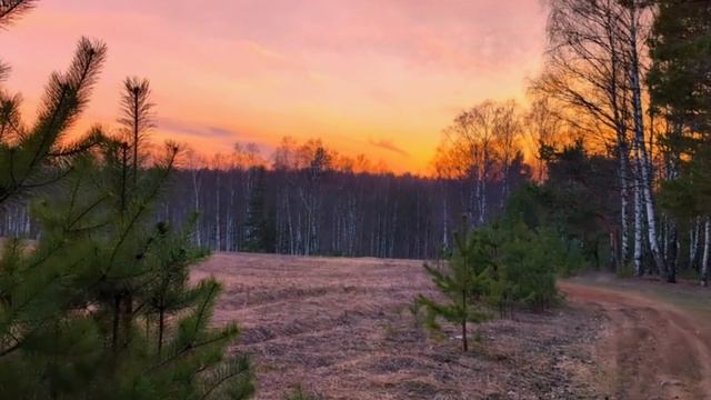 Калмыков Роман "О, весна, без конца и без краю"