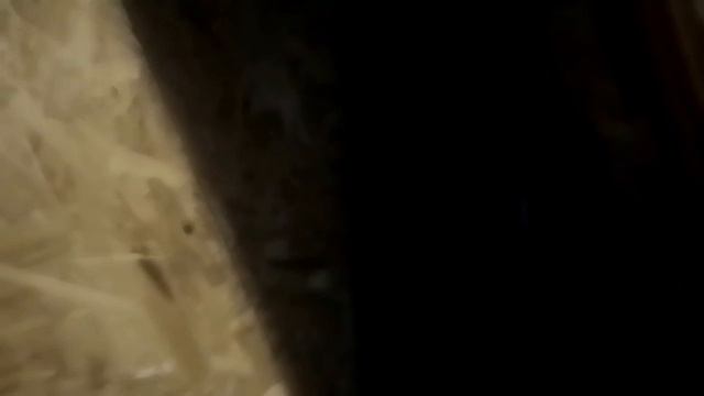 Супер Смэш Брос серия 226 Люба Стала Парнём