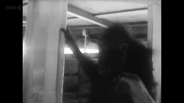 Аттенборо. 60 лет с дикой природой 3 серия (документальный сериал, 2012)