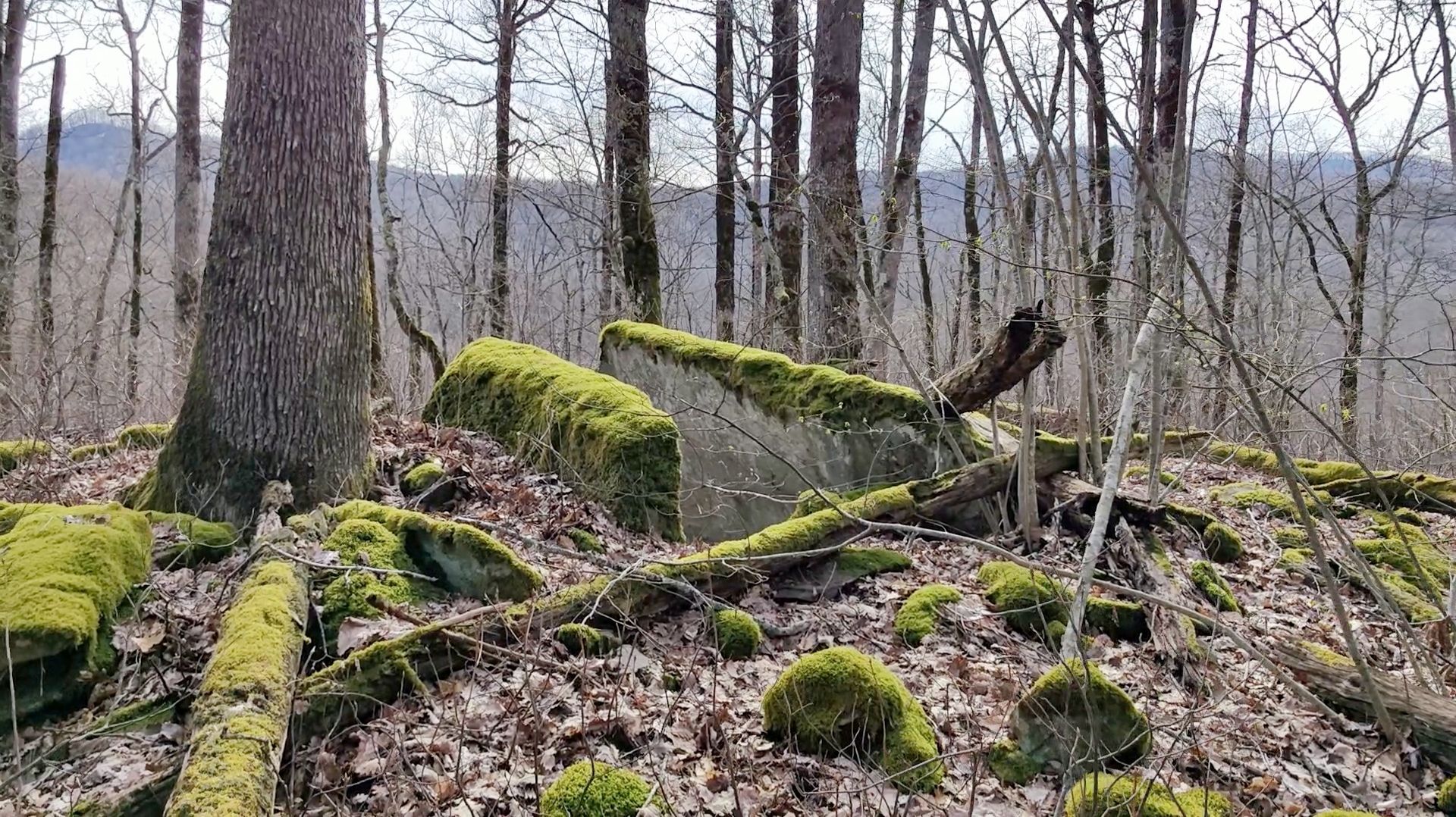 Видео 116 - Дольмен "Радость поисковика" (Фанагорийское)