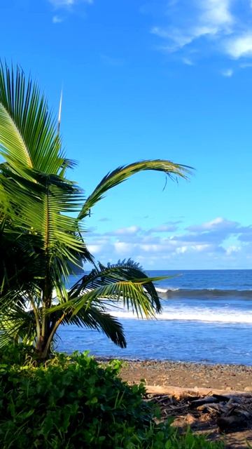 Возвращение к себе 🧘 Волны у берега 🏝️ Солнечный день ✨