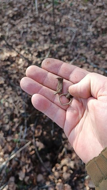 Как всегда #shorts #metaldetecting #находкисметаллоискателем #каквсегда #другаяжизнь