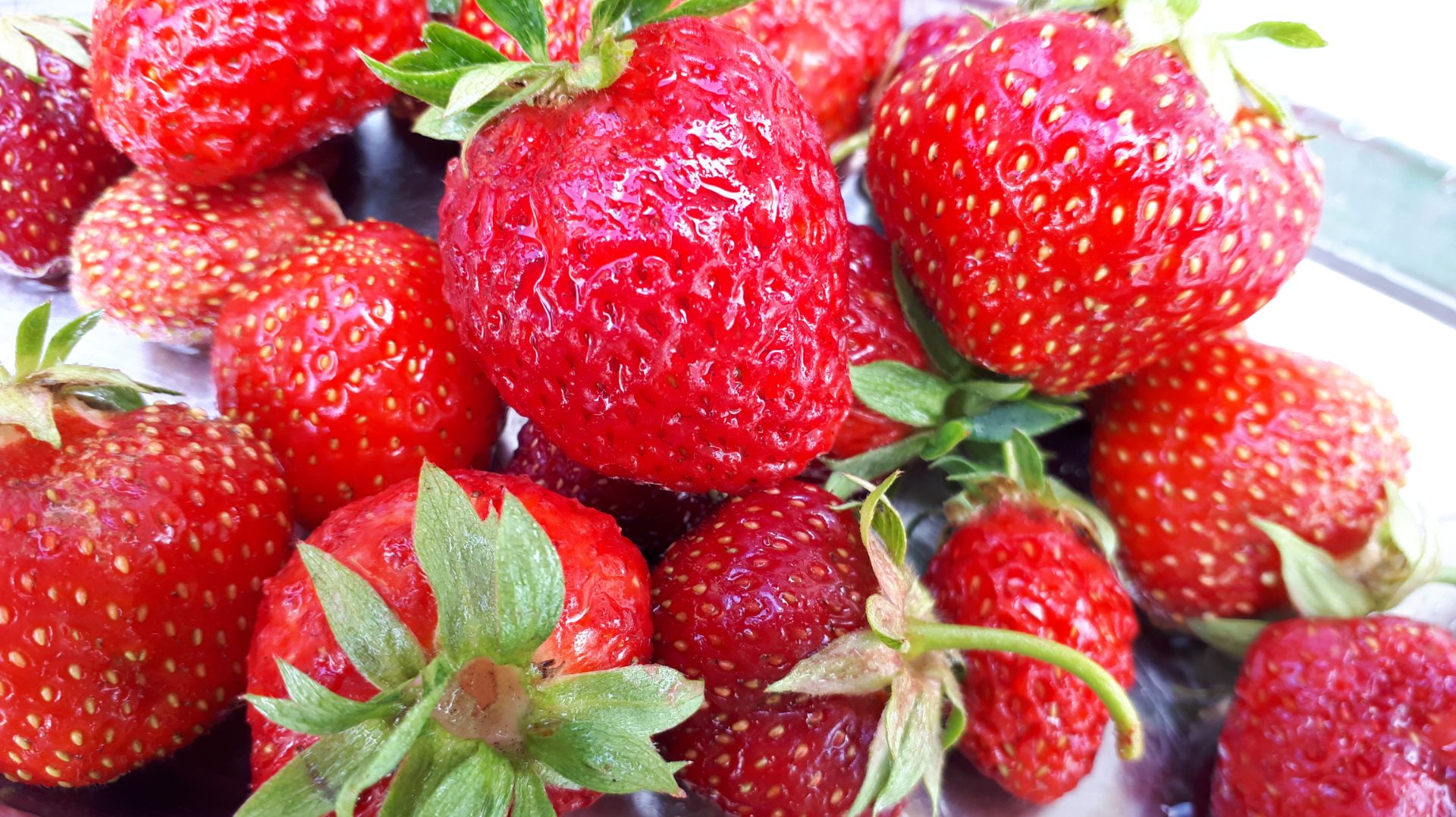 2340. Рассадный 2026 г. Чистим клубничные посадки.