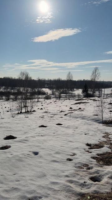 Продается участок 21.5 сотки в ДПК Поляны, между д.Конюхово и д. Корелы, Александровский район.