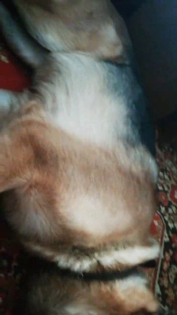 19 марта 2023 г.