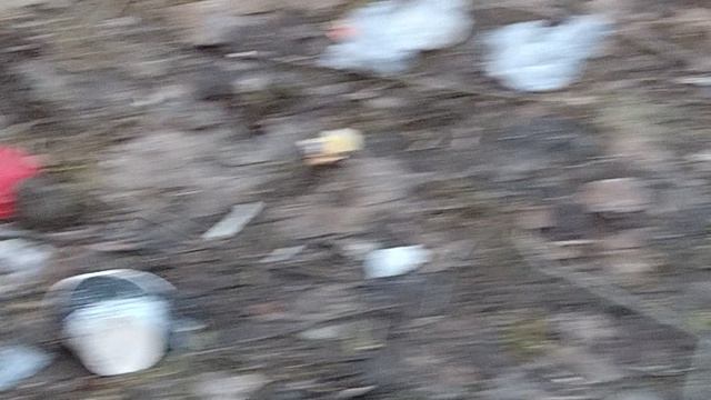 №2072 Двор П. Осипенко 48. 5 апреля 2026 г., 19:47:58 VID_20260405_194723223