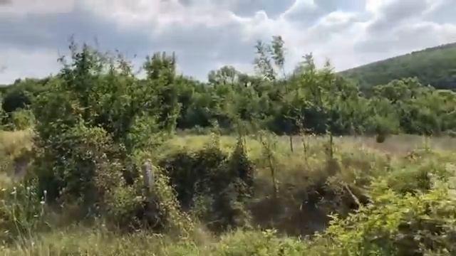 Два упражнения для СТОЯКА по утрам