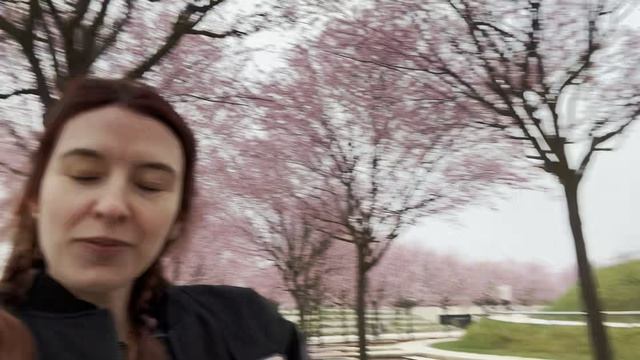 Краснодар Парк Галицкого весна 2026