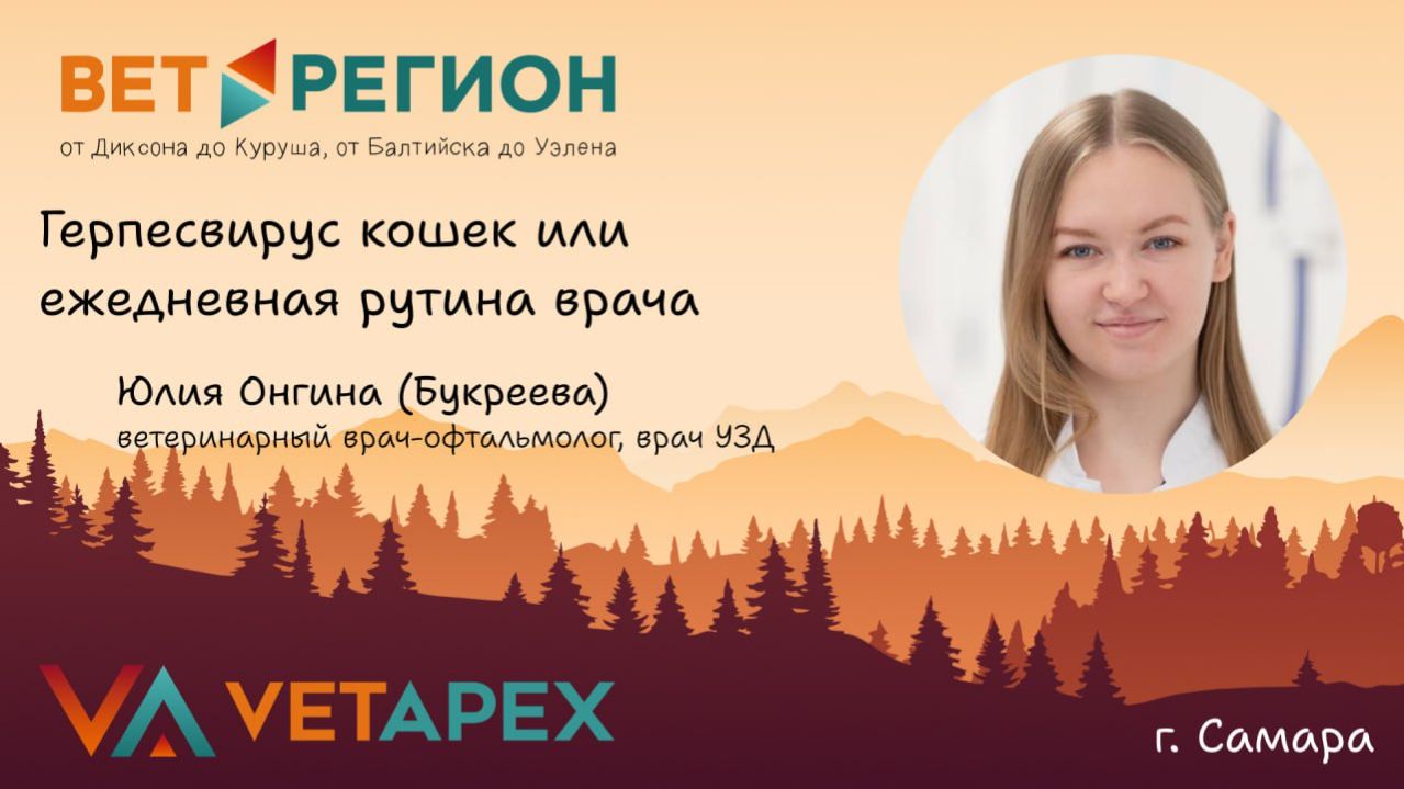 ВетРегион. Юлия Онгина (Букреева) Герпесвирус кошек или ежедневная рутина врача